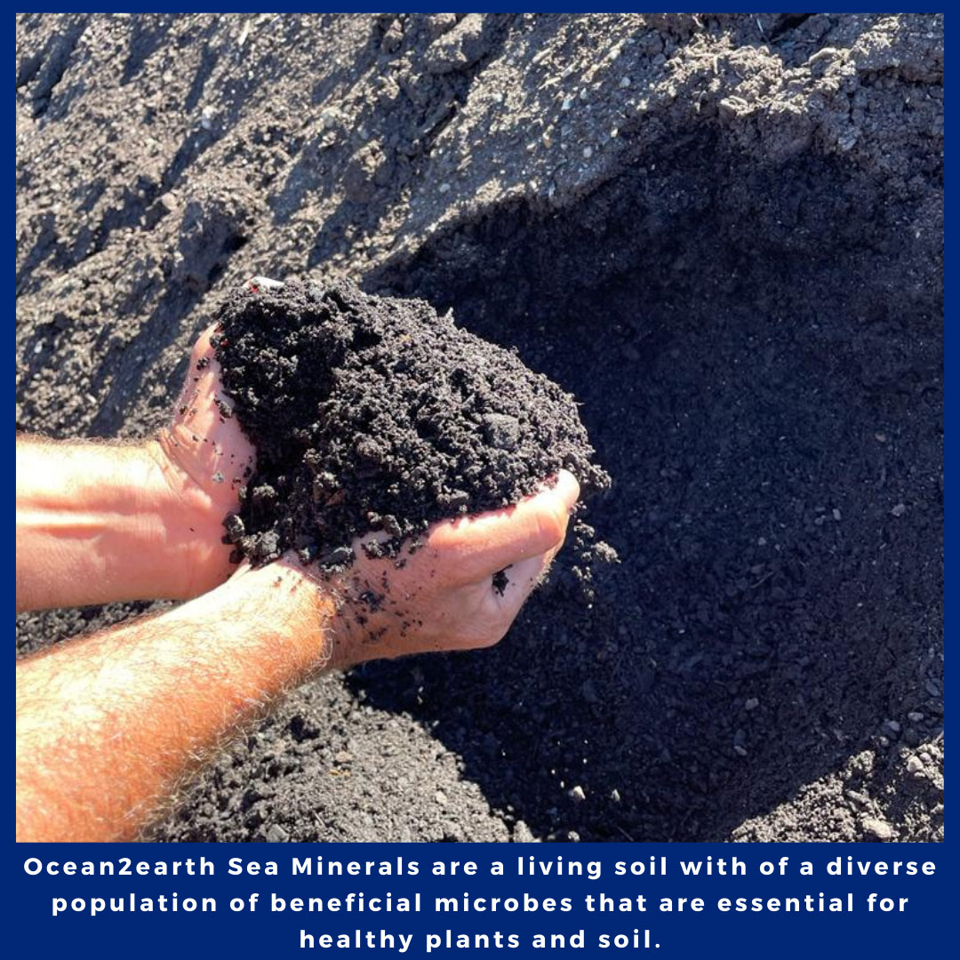 About Our Soil Enhancer - Ocean2Earth